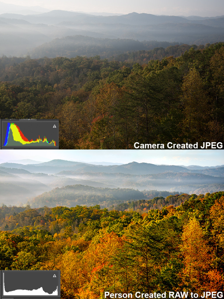 Why Postprocess RAW Images? – Master Your Nikon®