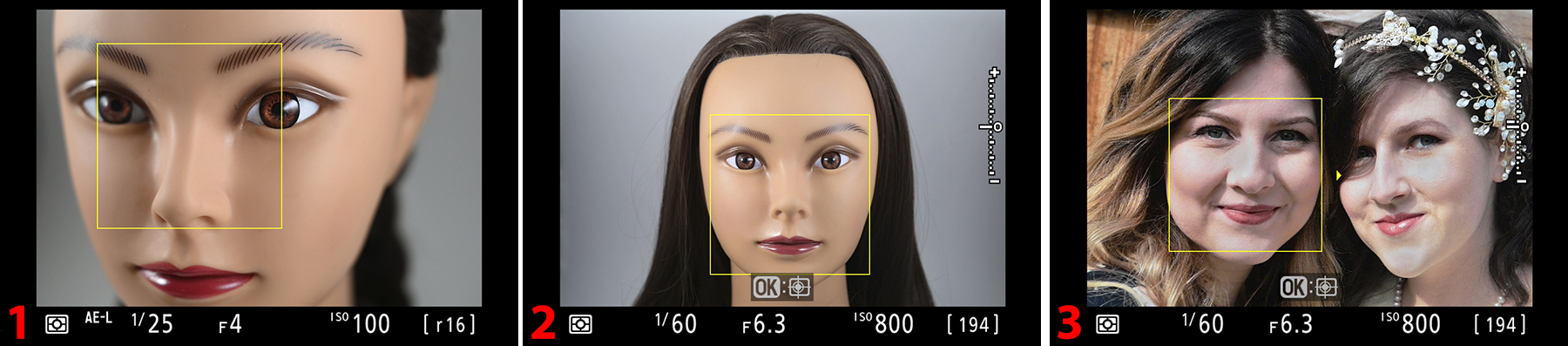 Eye Detection (Eye-AF) in Nikon Z6 and Z7 – Master Your Nikon®